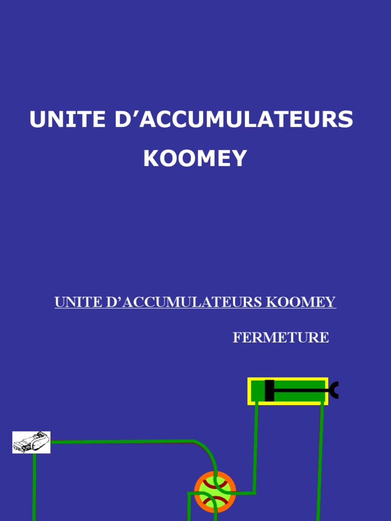 Koomey | PDF