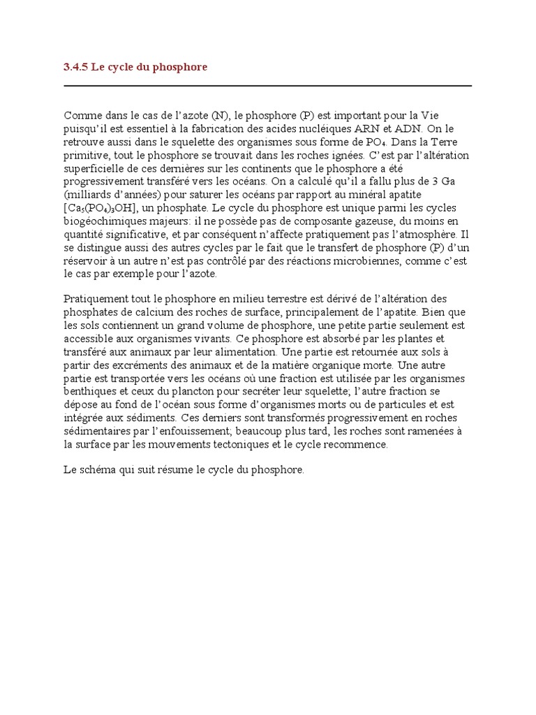 Cycle du phosphore : explication et schéma | PDF | Phosphate | Écologie ...