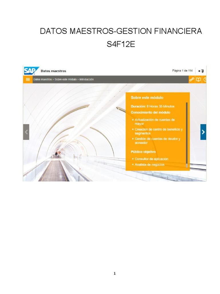 Datos Maestros Gestion Financiera S4F12E | PDF | Contabilidad | Estado de resultados