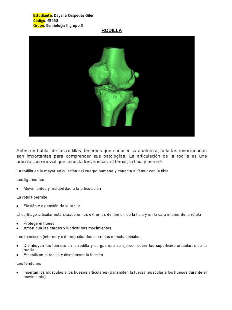 Informe Rodilla | PDF