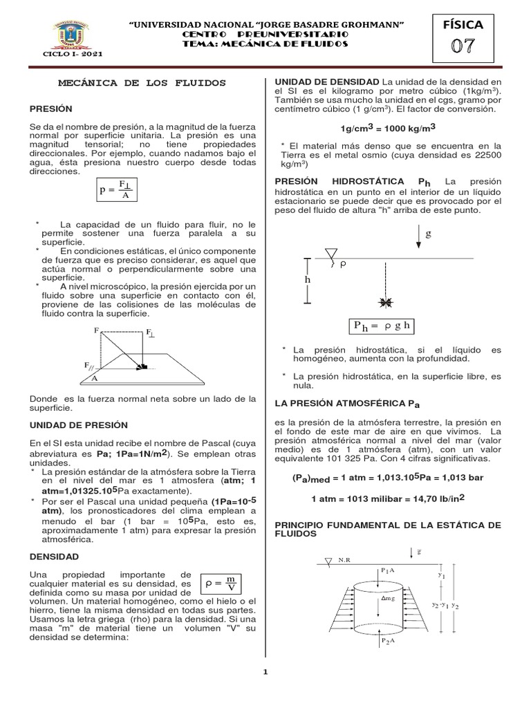 Práct. 07 - Física | PDF | Pascal (Unidad) | Presión