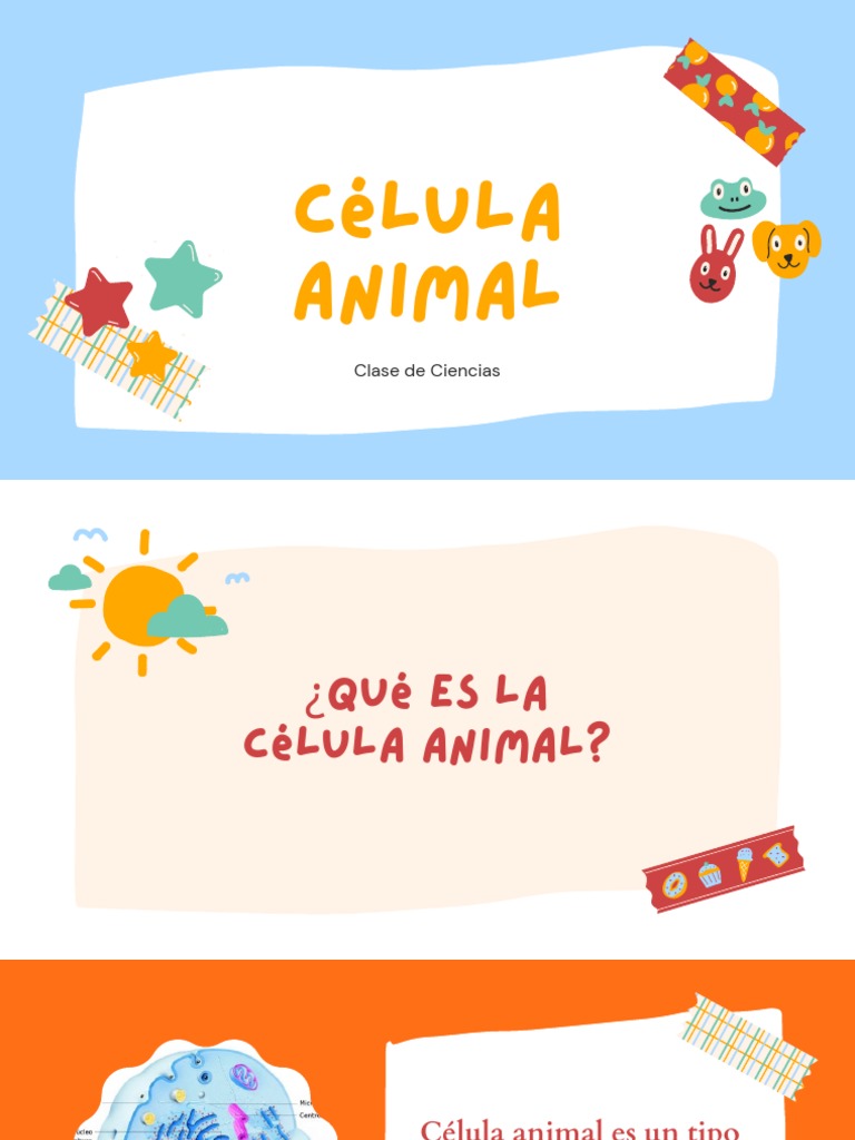 Celula Animal | PDF | Biología Celular) | Citoplasma