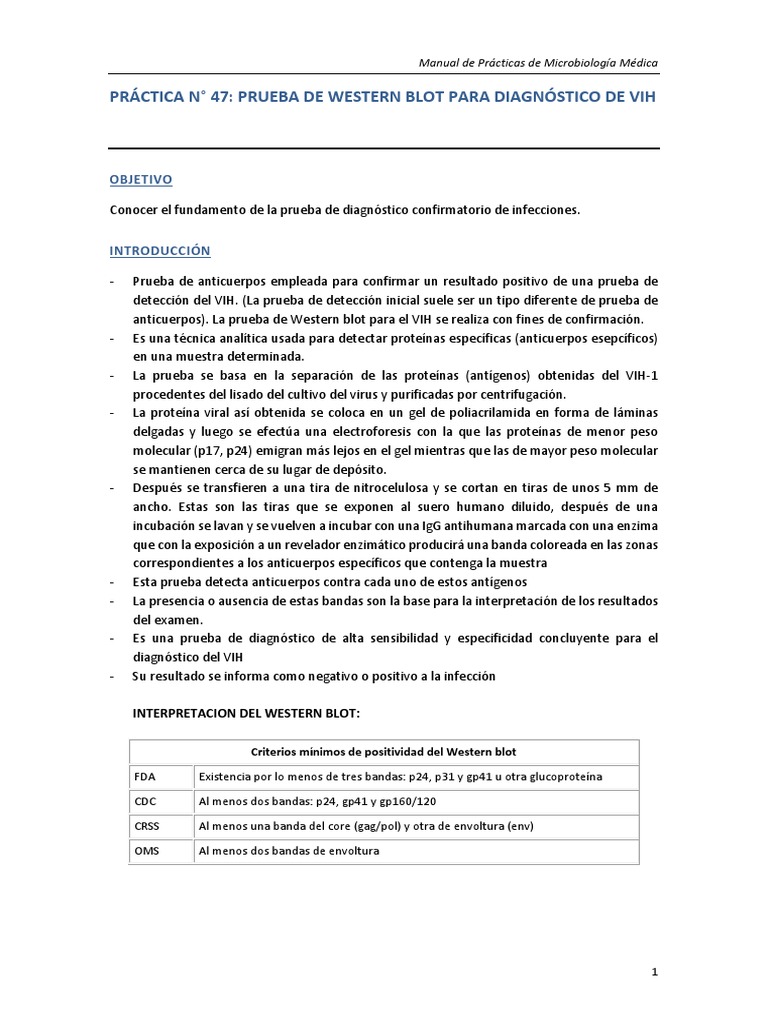 PRACTICA Prueba de Western Blot | PDF | VIH | Biología