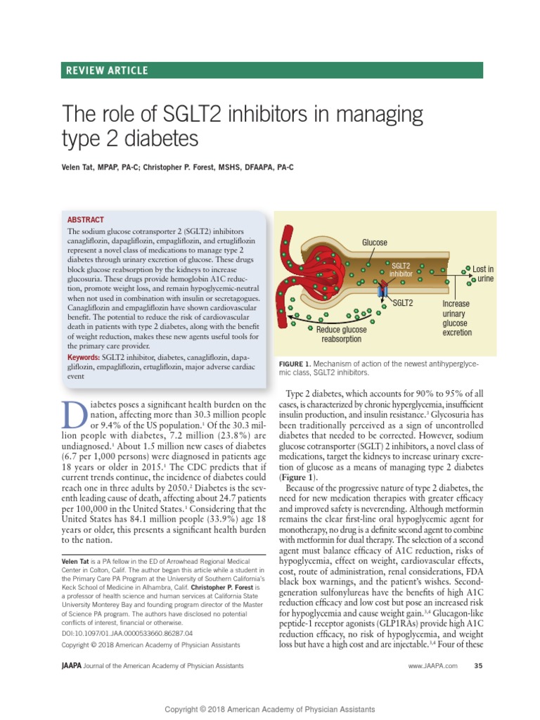The Role of SGLT2 Inhibitors in Managing Type 2 Diabetes | PDF