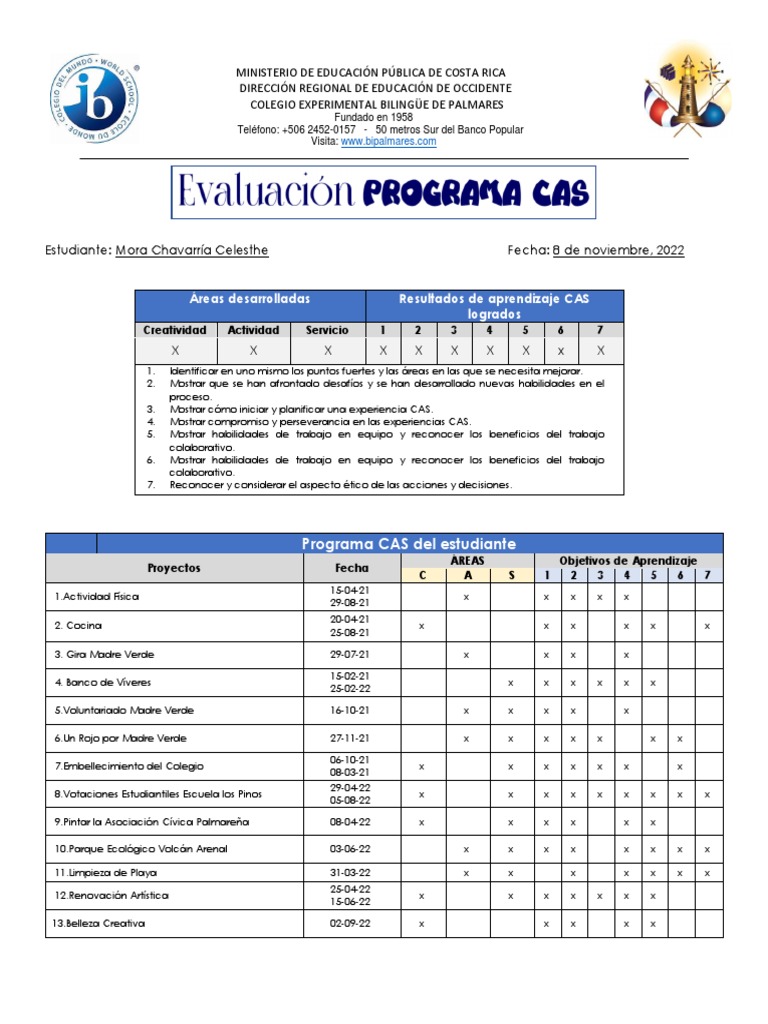 Áreas Desarrolladas Resultados de Aprendizaje CAS Logrados | PDF