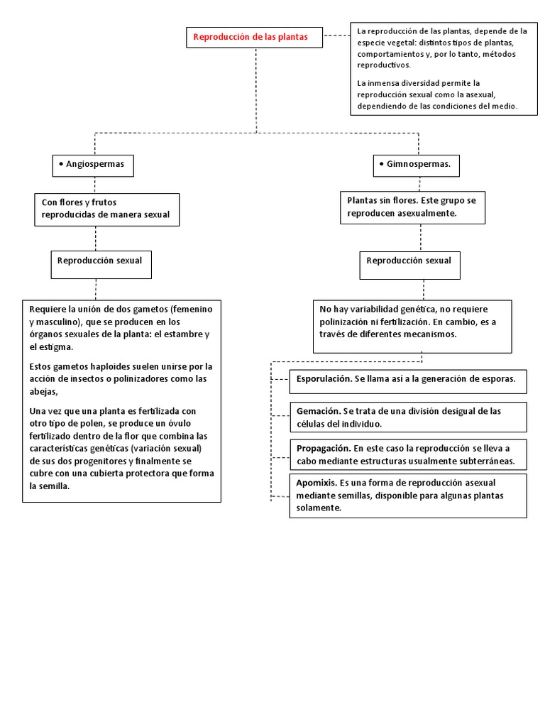 Esquema Explicativo CT | Descargar gratis PDF | Flores | Reproducción