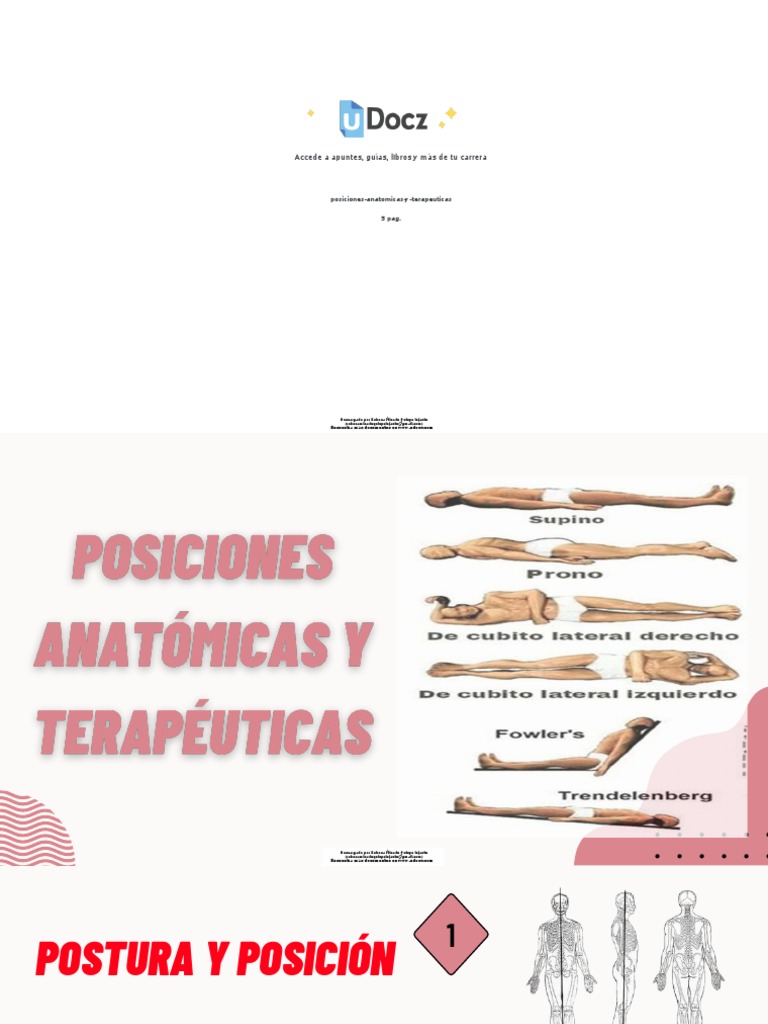 Posiciones Anatomicas | PDF | Términos anatómicos de ubicación | Anatomía