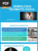 Pericitos | PDF | Capilar | Endotelio