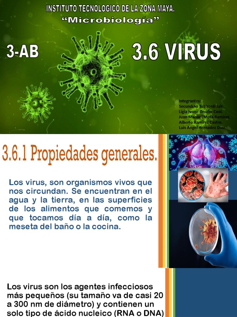 Estructura y clasificación de virus | PDF | Virus | Biología Celular)