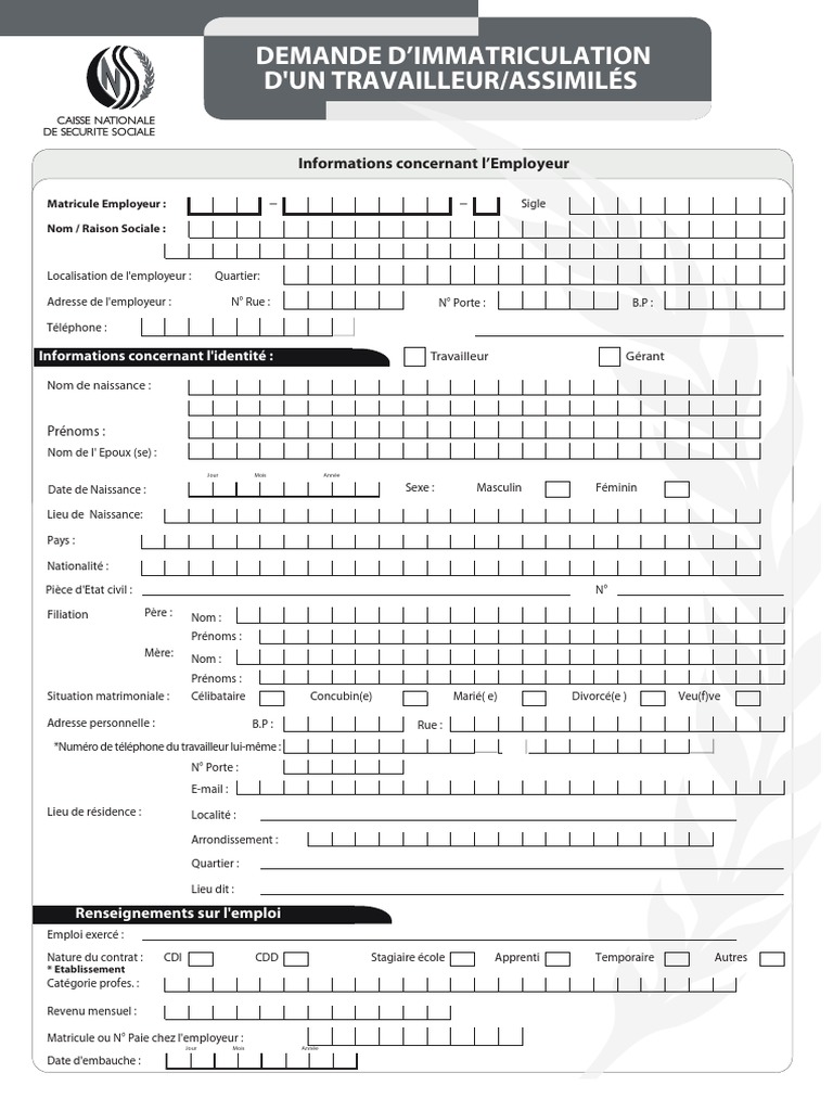 Demande d'immatriculation CNSS | PDF