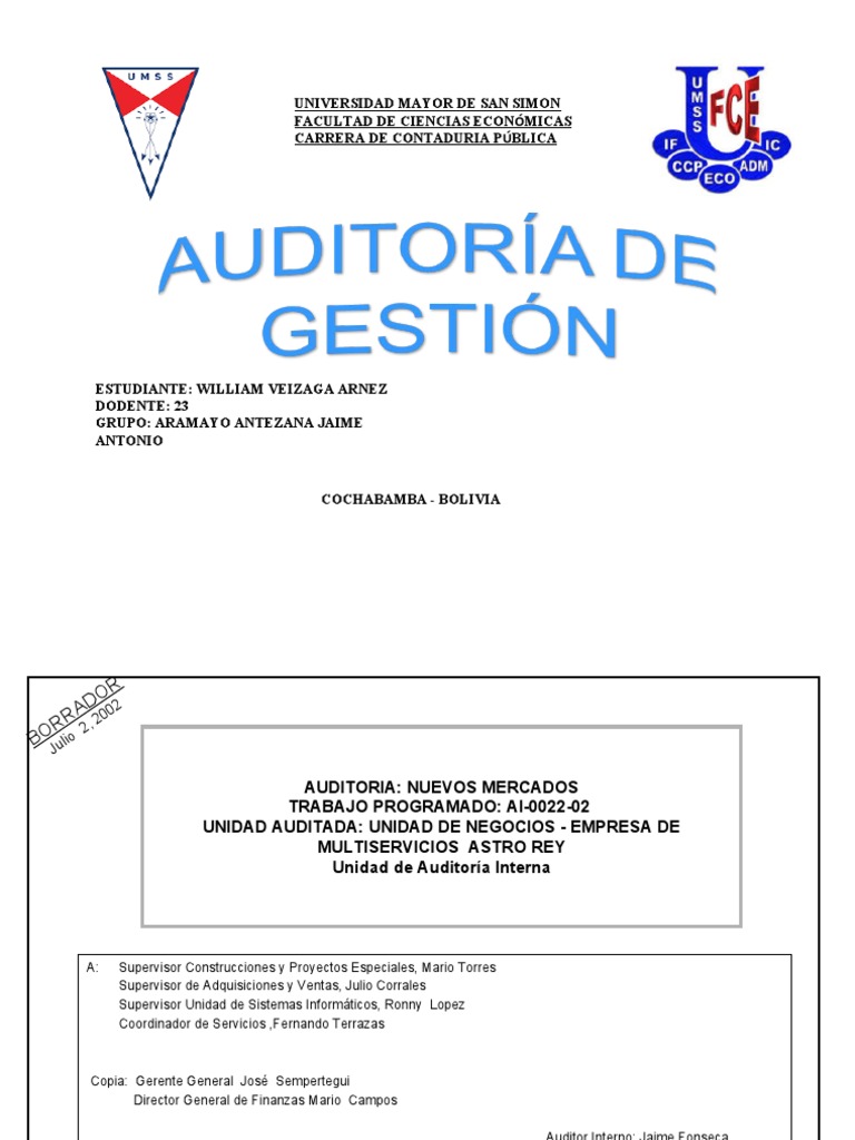 Hallazgos de Auditoria - Auditoria - de - Gestion | PDF