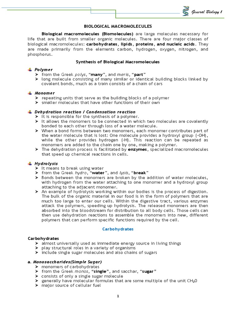Handout Biological Macromolecules (2022-2023) | PDF | Protein Structure ...