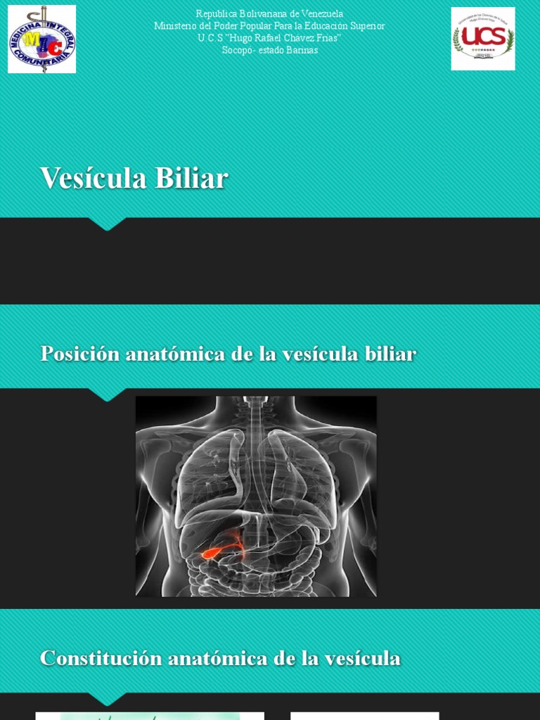 Vesícula Biliar | PDF | Vesícula biliar | Bilis