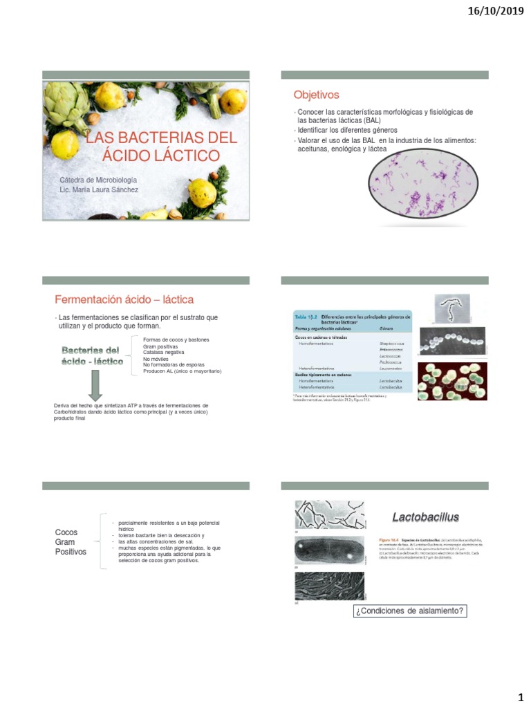 Las Bacterias Del Ácido Láctico PPT en PDF | PDF | Fermentación | Ácido ...