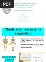 Fracturas de Cotilo: Clasificación y Tratamiento | PDF | Pelvis ...