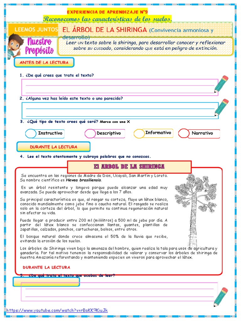 2021-11-15-Ficha - Viernes S31-5-Leemos Plan Lector El Árbol de La ...