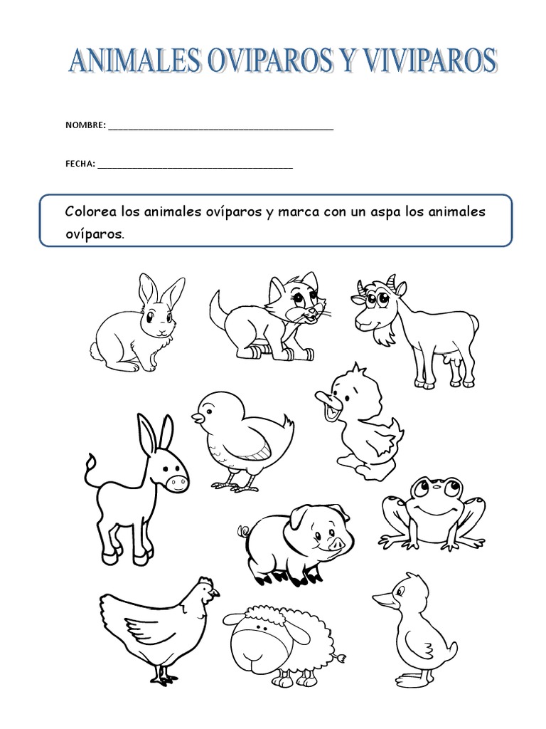 Animales Oviparos y Viviparos para Ninos de 4 Anos | PDF