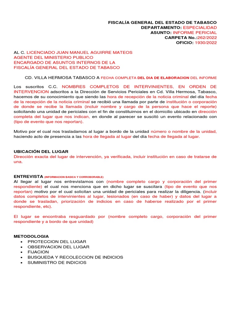 Ejemplo Informe Pericial | PDF