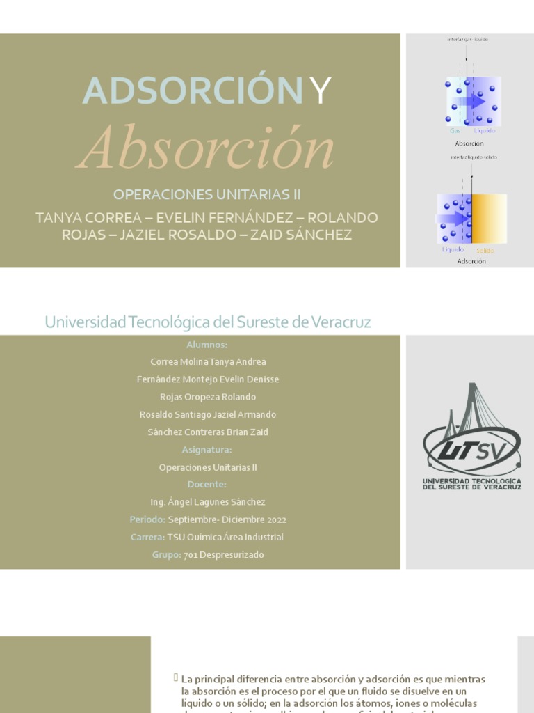 ABSORCIÓN Y ADSORCIÓN Operaciones Unitarias II | PDF | Absorción ...