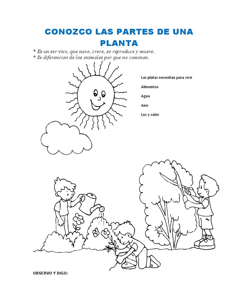 Necesidades y partes de las plantas | PDF
