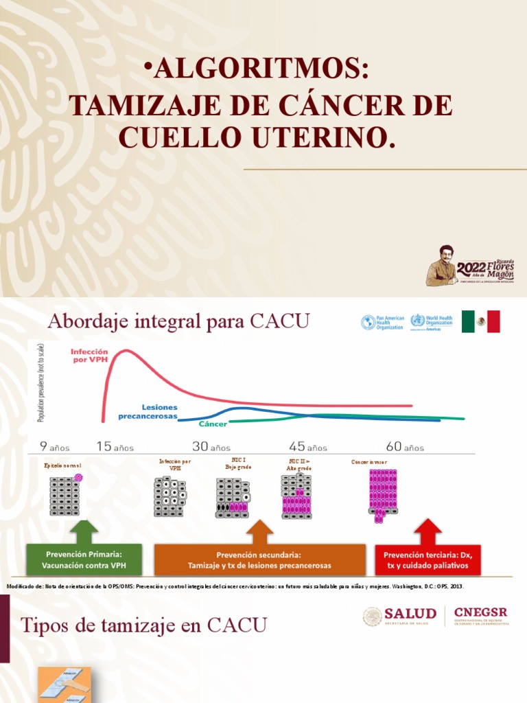 Presentacion Algoritmos Tamizaje CACU | PDF | Cáncer de cuello uterino ...