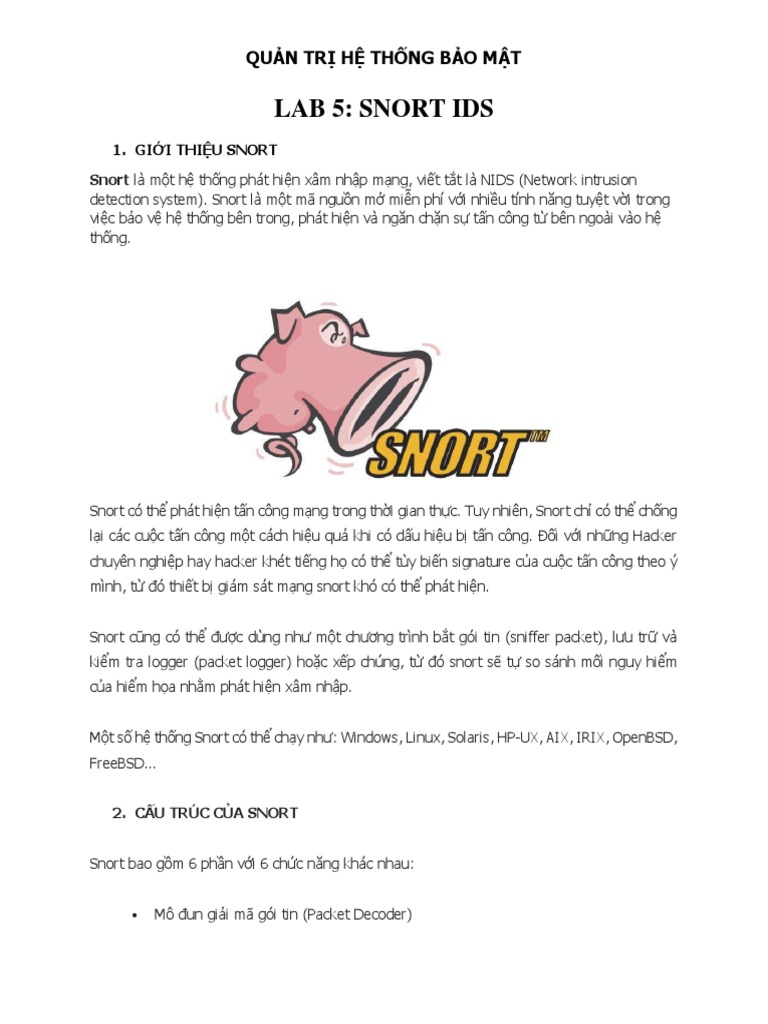LAB 5 - Snort IDS | PDF
