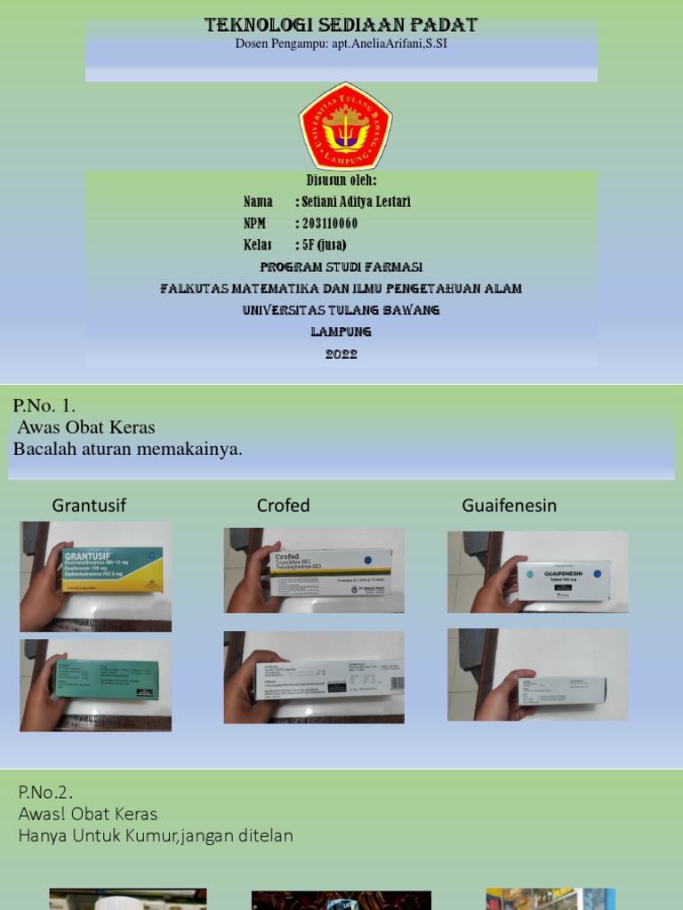 Setiani Aditya TSP | PDF