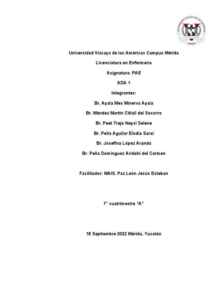 Ada 1 Pae Teoristas Objetivos y Caracteristicas | PDF | Enfermería | Comportamiento