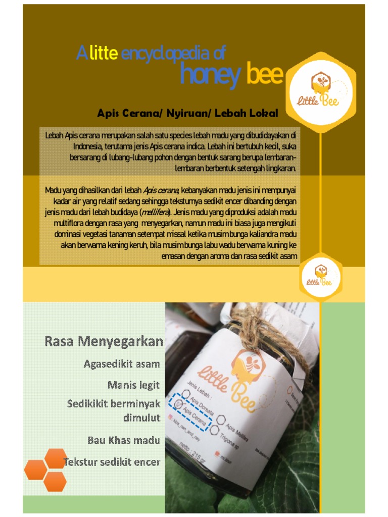 Jenis Lebah Dan Madunya | PDF