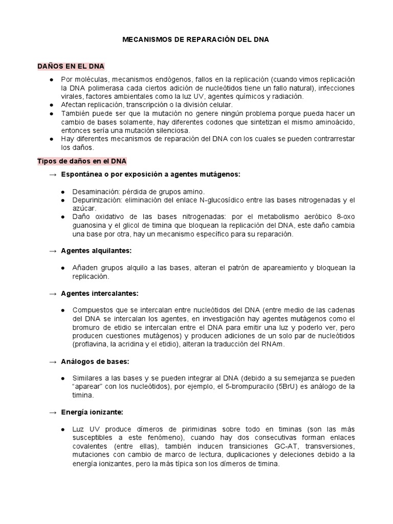 Mecanismos de Reparación Del Dna | PDF