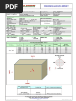 Cylinder Visual Inspection Form | PDF | Equipment | Hydraulics