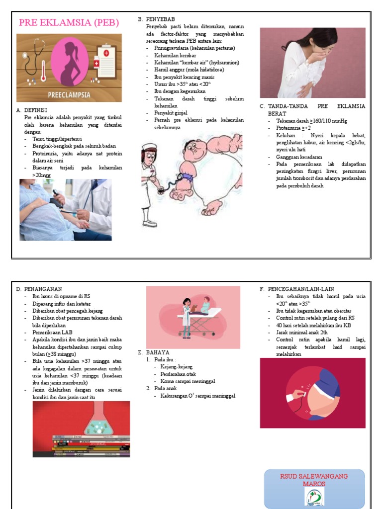 Memahami Pre Eklamsia pada Ibu Hamil | PDF