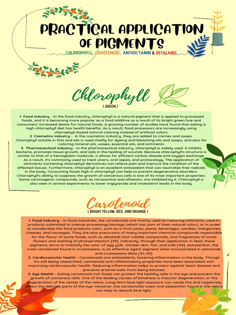 Assignment (Infographics) | PDF