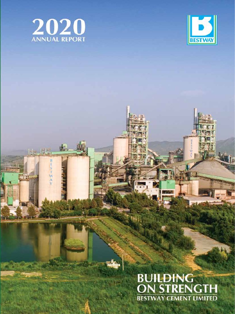 Annual Report 2020 | PDF