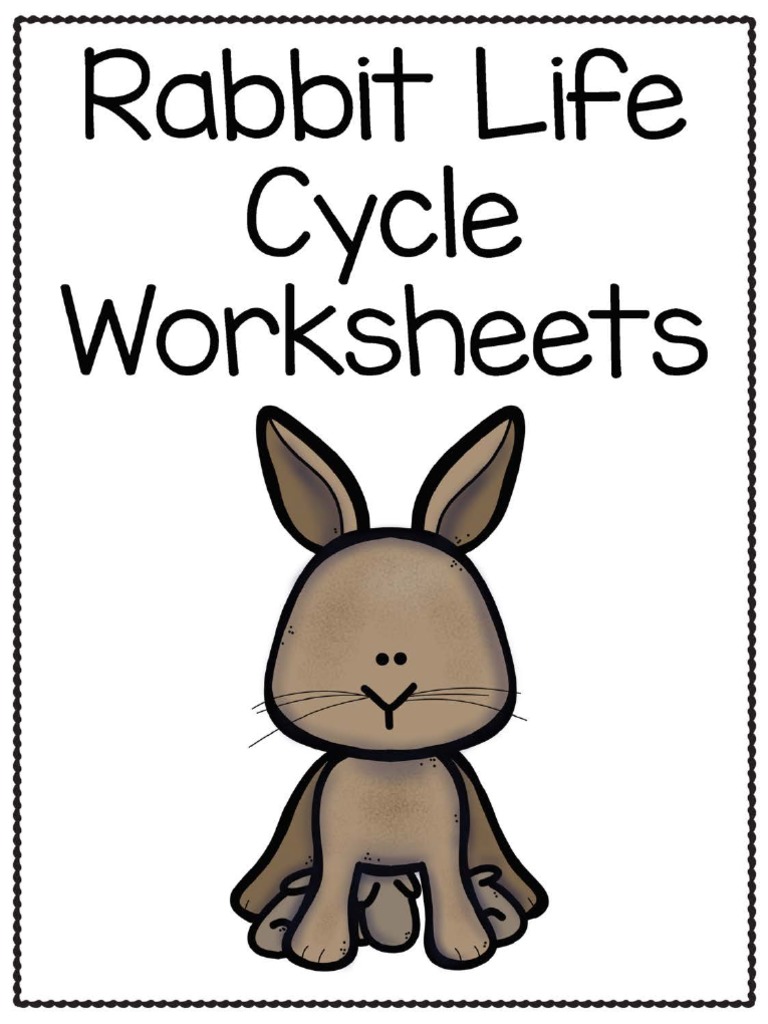 Rabbit Life Cycle Worksheets A | PDF