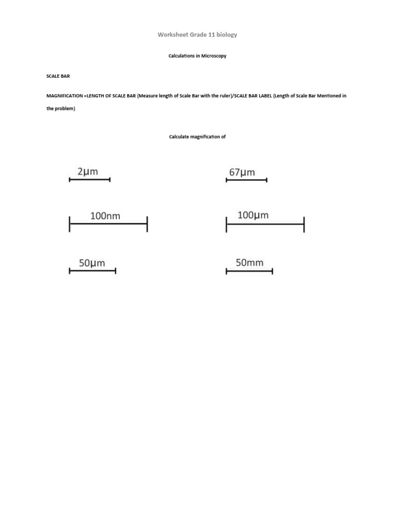 Magnification 3 Scale Bar Related | PDF