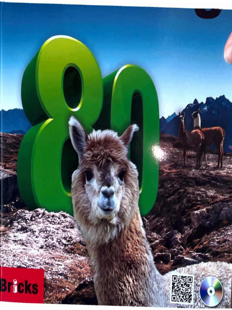 Bricks Reading 80-1 SB+WB | PDF