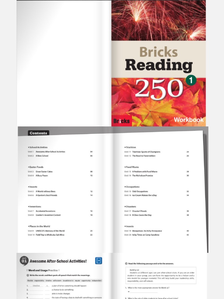 Bricks Reading 250 (1) WB | PDF