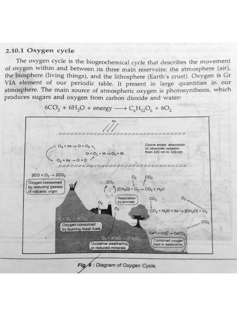 Bio-Geochemical Cycle | PDF