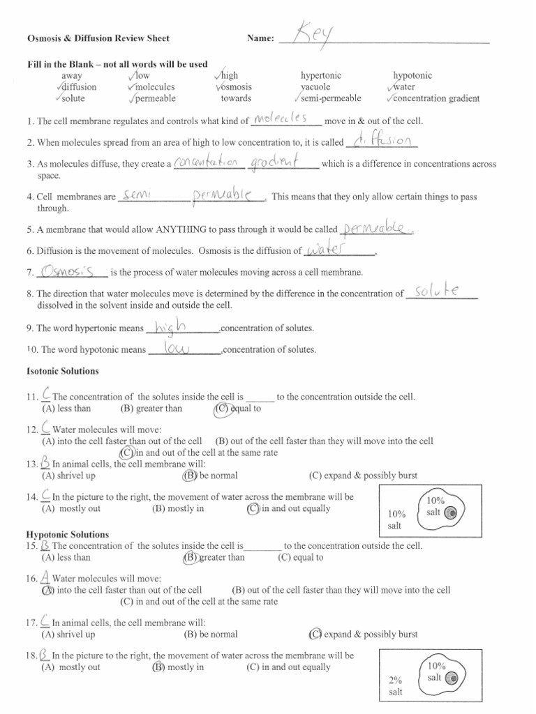 Grade 9 Diffusion | PDF