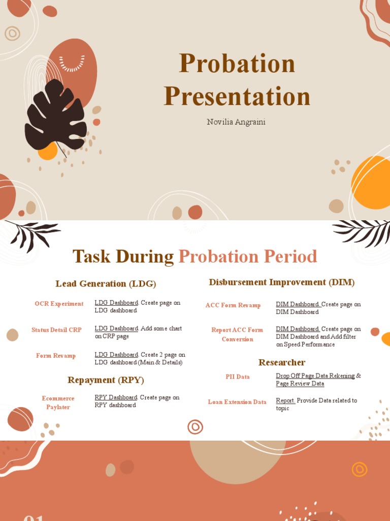 Probation Presentation | PDF