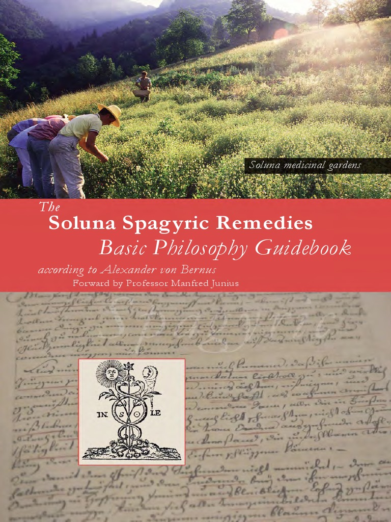 Soluna Philosophy Guidebook Download | PDF | Alchemy | Planets
