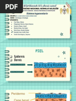 Funcion de Las Uniones GAP en La Union Interceluar | PDF | Biología ...