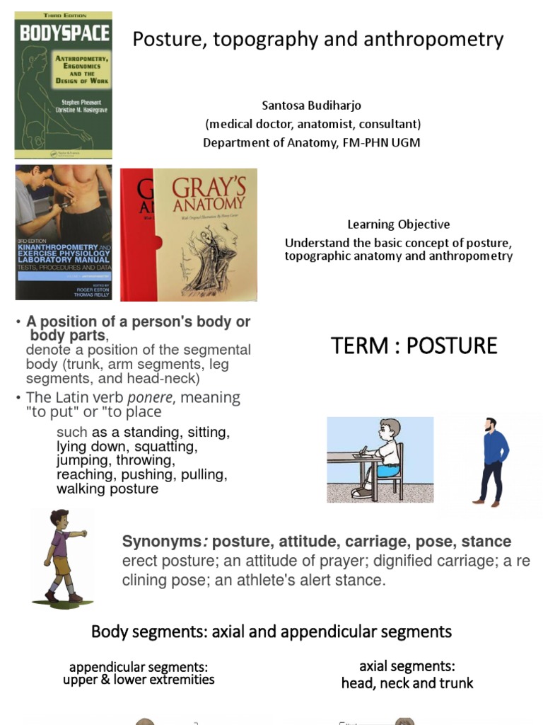 Topography and Anthropometry | PDF | Abdomen | Anatomy