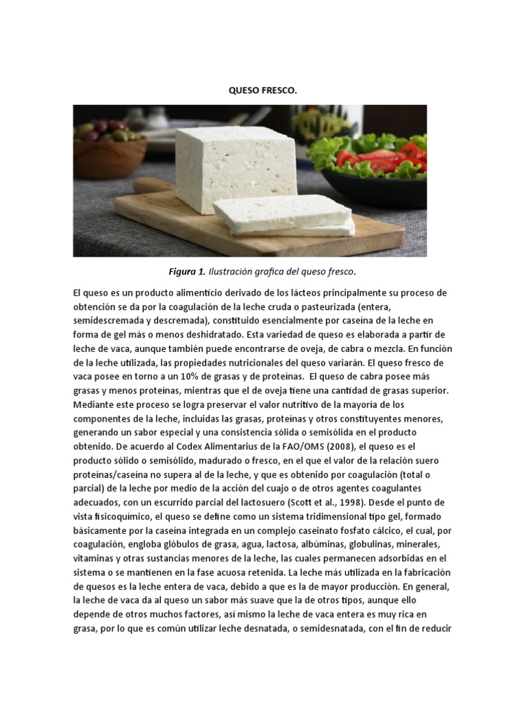 Queso Fresco | Descargar gratis PDF | Queso | Leche