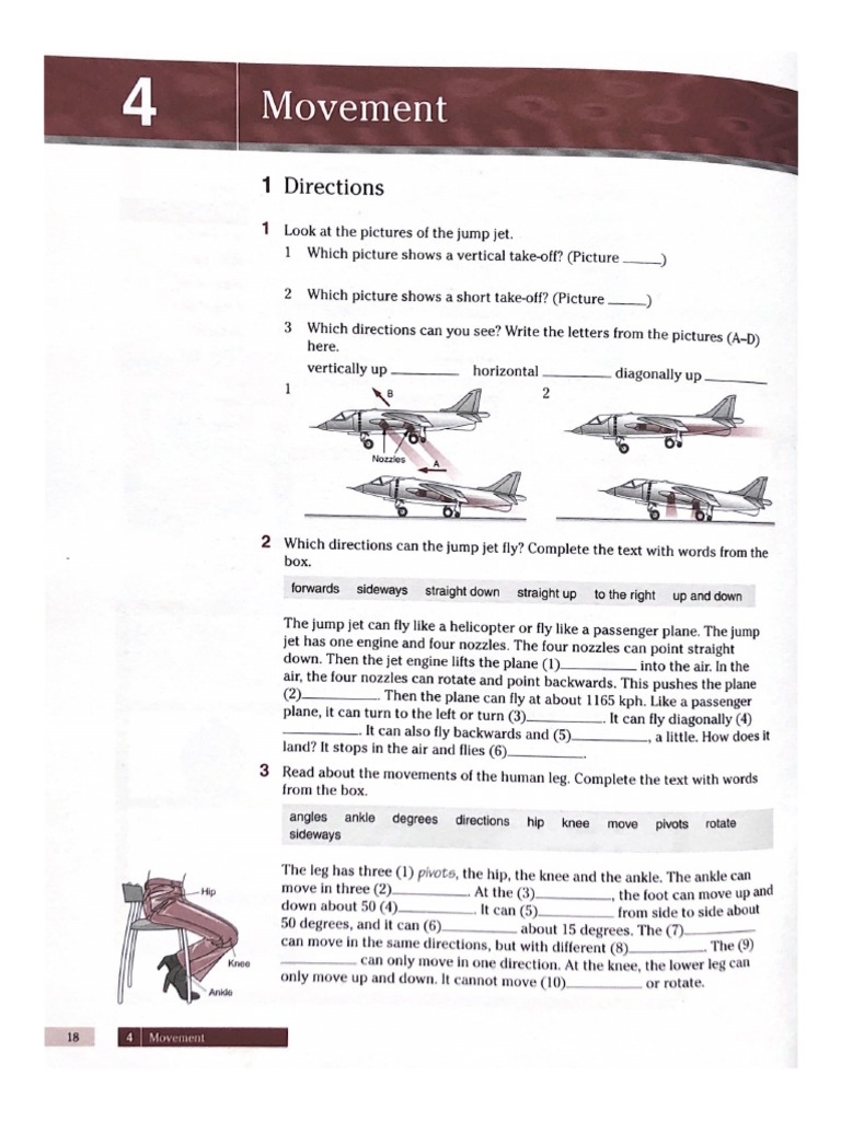 Movement | PDF