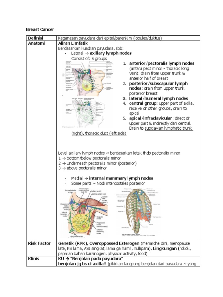 Panduan Lengkap Kanker Payudara | PDF