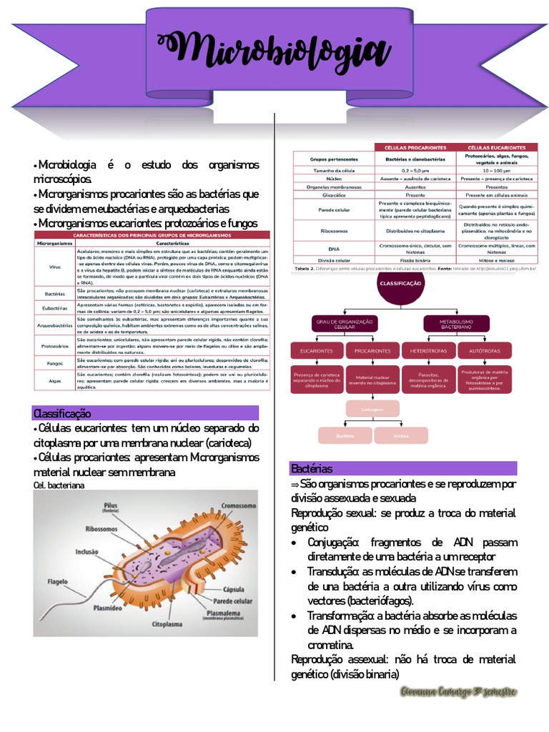 Resumo Micro I P1 e P2 | PDF | DNA | Gene