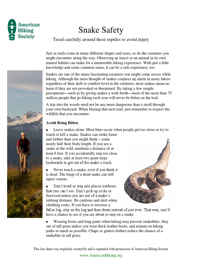 Snake Bites Fact Sheet | PDF | Snake