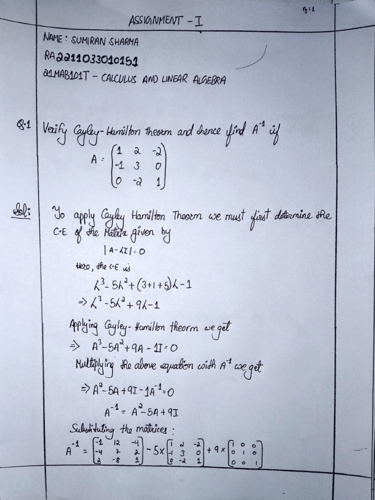 Calculus Assignment 1 | PDF